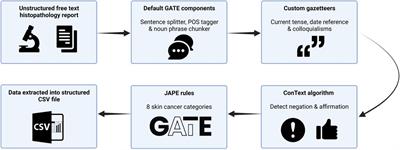 Frontiers | Development and validation of an automated basal cell carcinoma histopathology ...